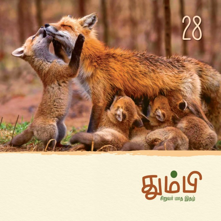 00 Thumbi Subscripition (12 Issues) – Tamilnadu – Thumbi